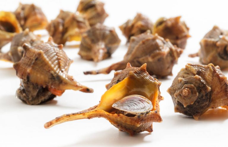 Lo sapevate? Ecco il prezioso segreto dei bocconi di mare | Cagliari ...