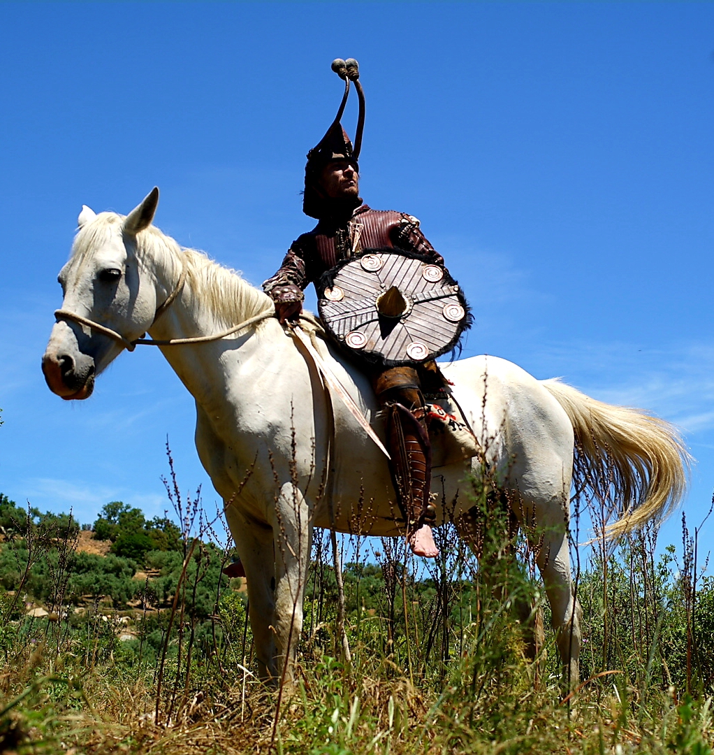 Le pecore rappresentano la Sardegna sui libri di scuola | Cagliari ...