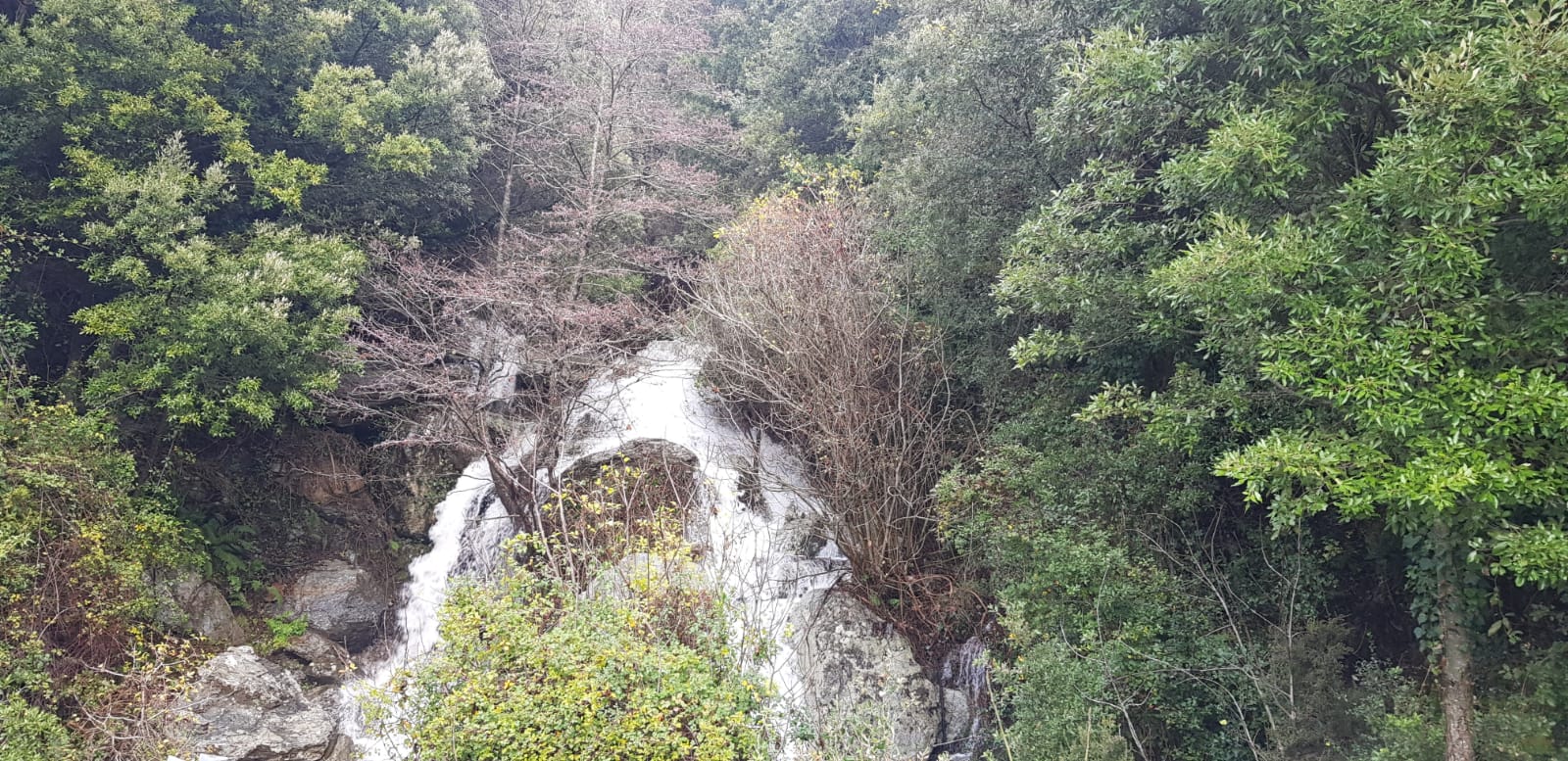 (Video) Tonara, ecco la cascata Pitzirimasa | Cagliari - Vistanet