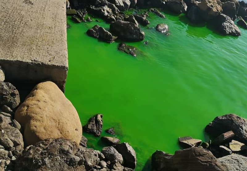 Acqua verde a Su Siccu, accertamenti | Cagliari - Vistanet
