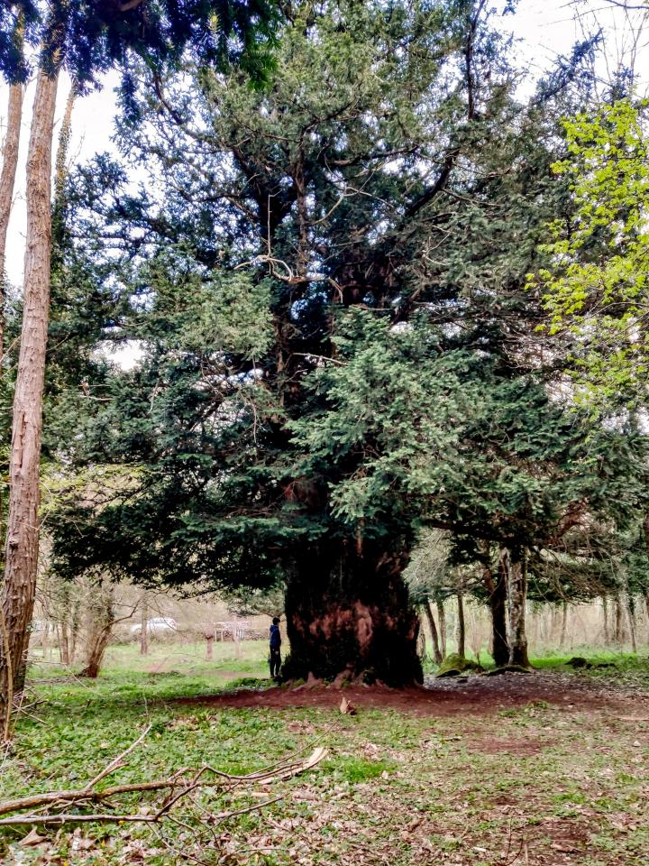 Il tempio che ha restituito un tesoro e custodisce un'antica leggenda