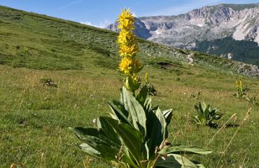 Oggi andremo a scoprire il più grande territorio comunale dell'Isola