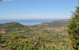 Andiamo a visitare idealmente questo paese che produce ottimi vini