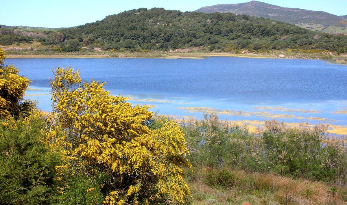 La leggenda della città nascosta sotto il lago di Baratz