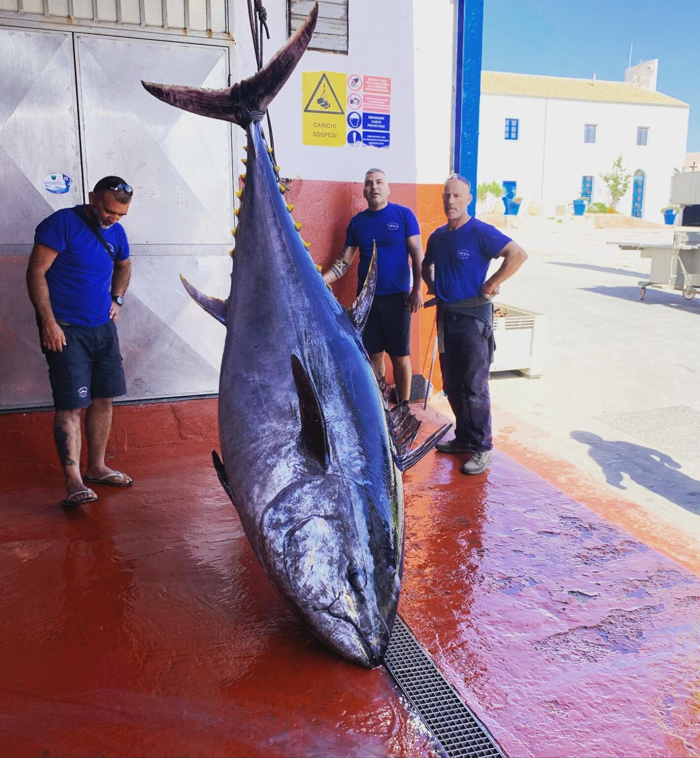 In Sardegna le ultime tonnare del Mediterraneo | Cagliari - Vistanet