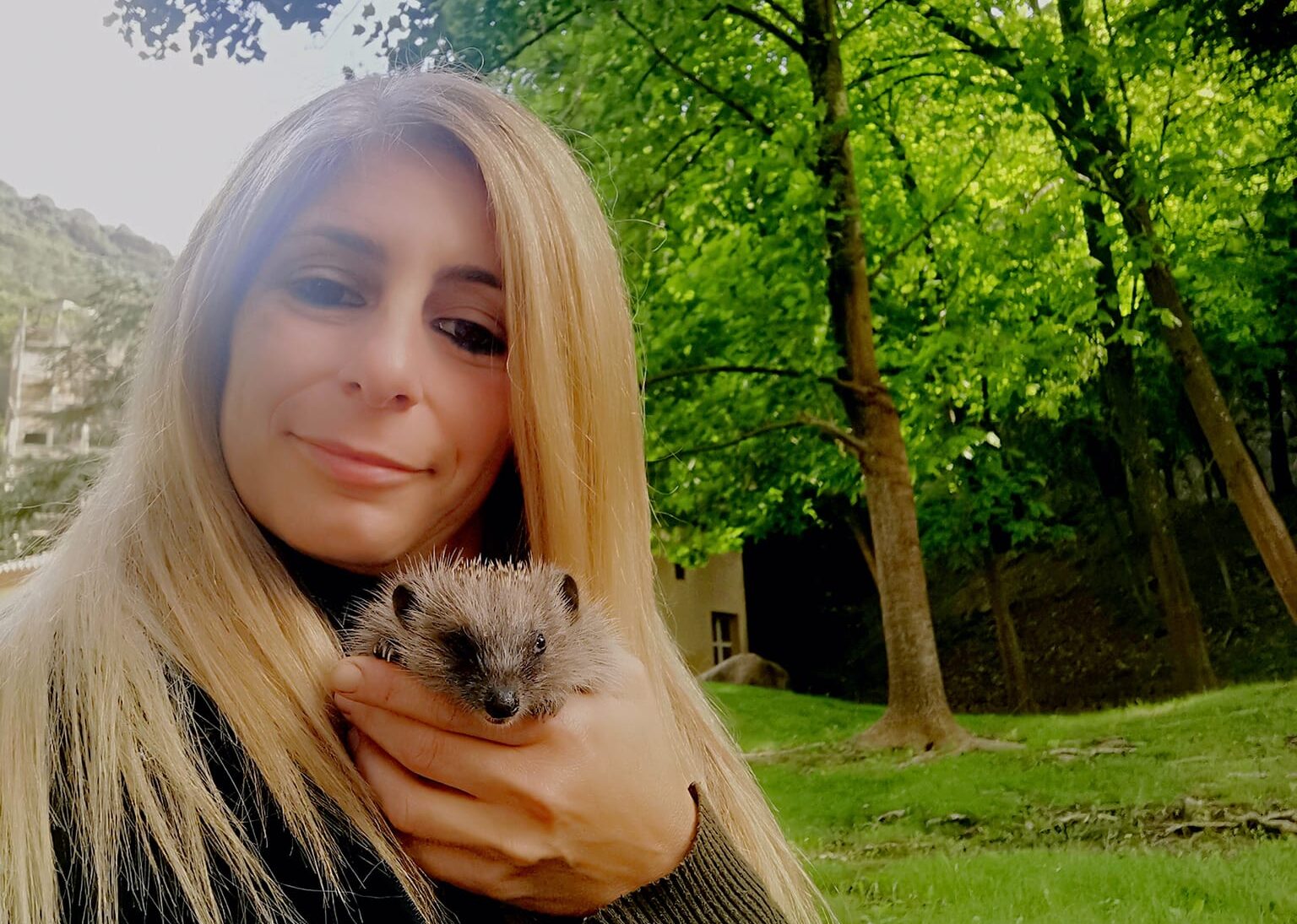 Villasor, auto fuori strada sulla 196: perde la vita una donna di 40 ...