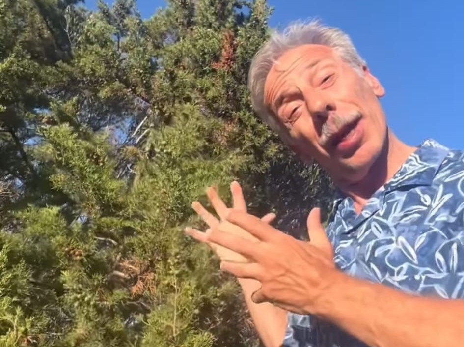 Il ginepro raccontato da Giovanni Storti | Cagliari - Vistanet