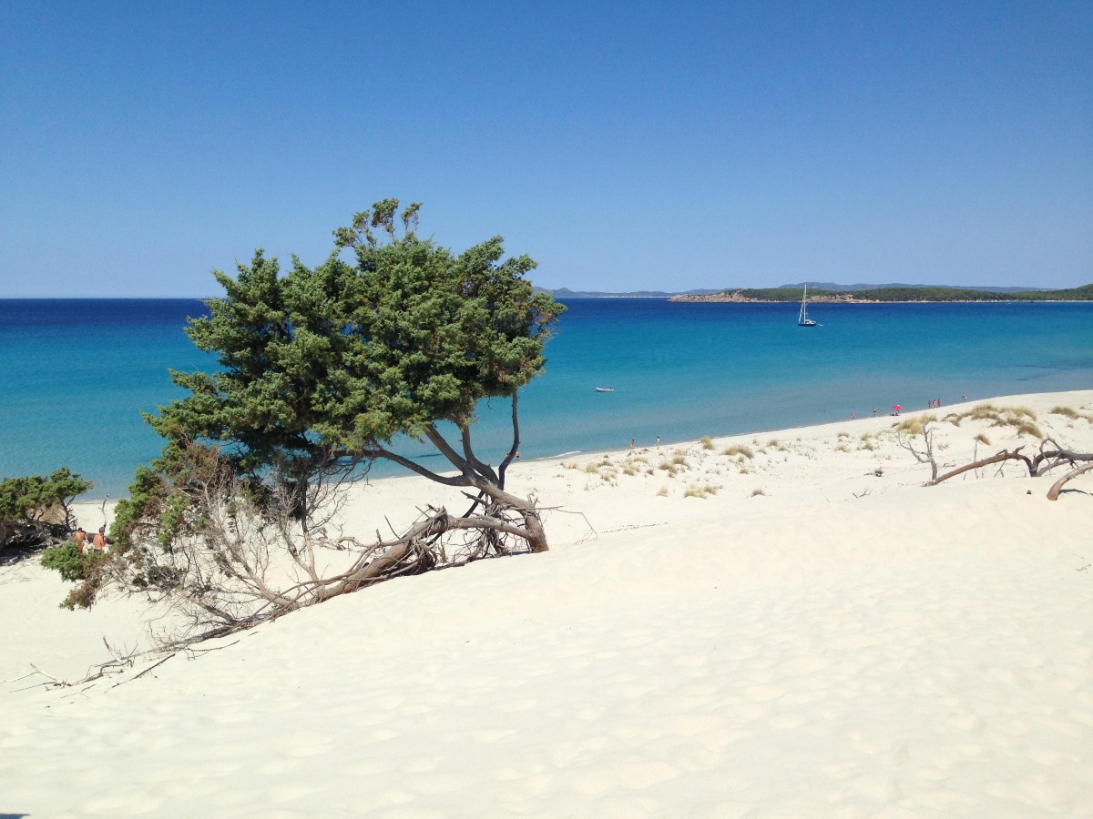 Sapevate che le dune di Porto Pino vengono chiamate anche Is Arenas ...