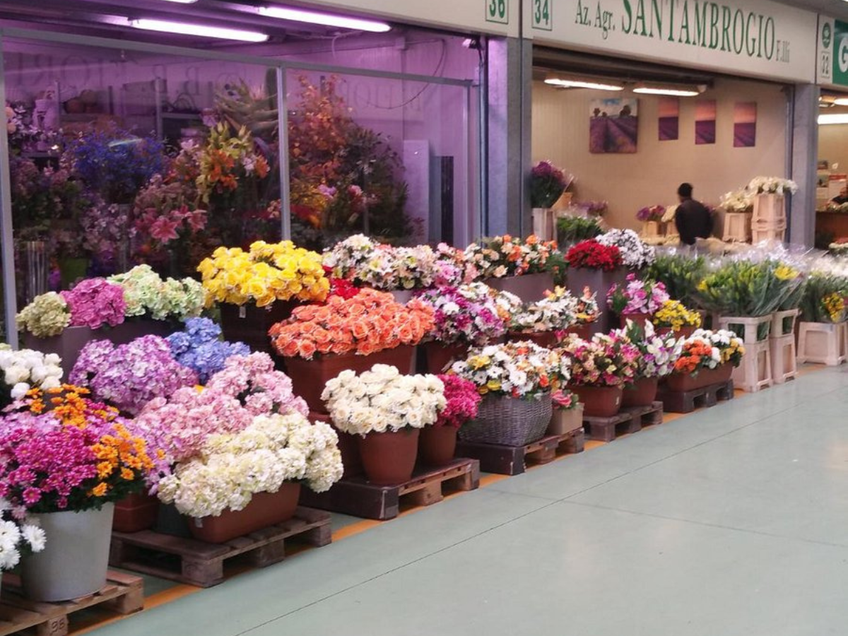 Il mercato dei fiori di Via Lombroso 54 si sveglia presto ogni sabato ...