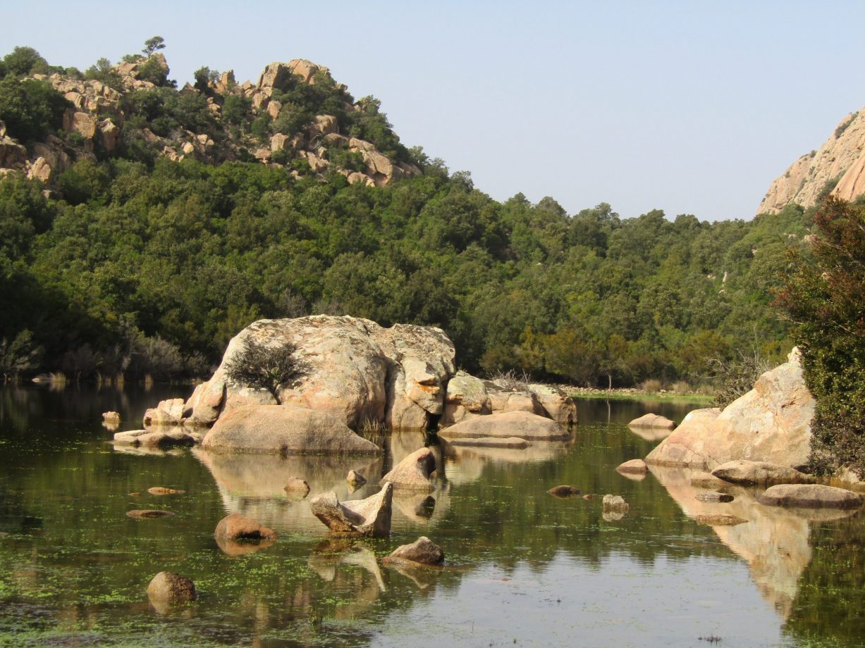 La foto, paesaggio d'incanto a Talana | Ogliastra - Vistanet