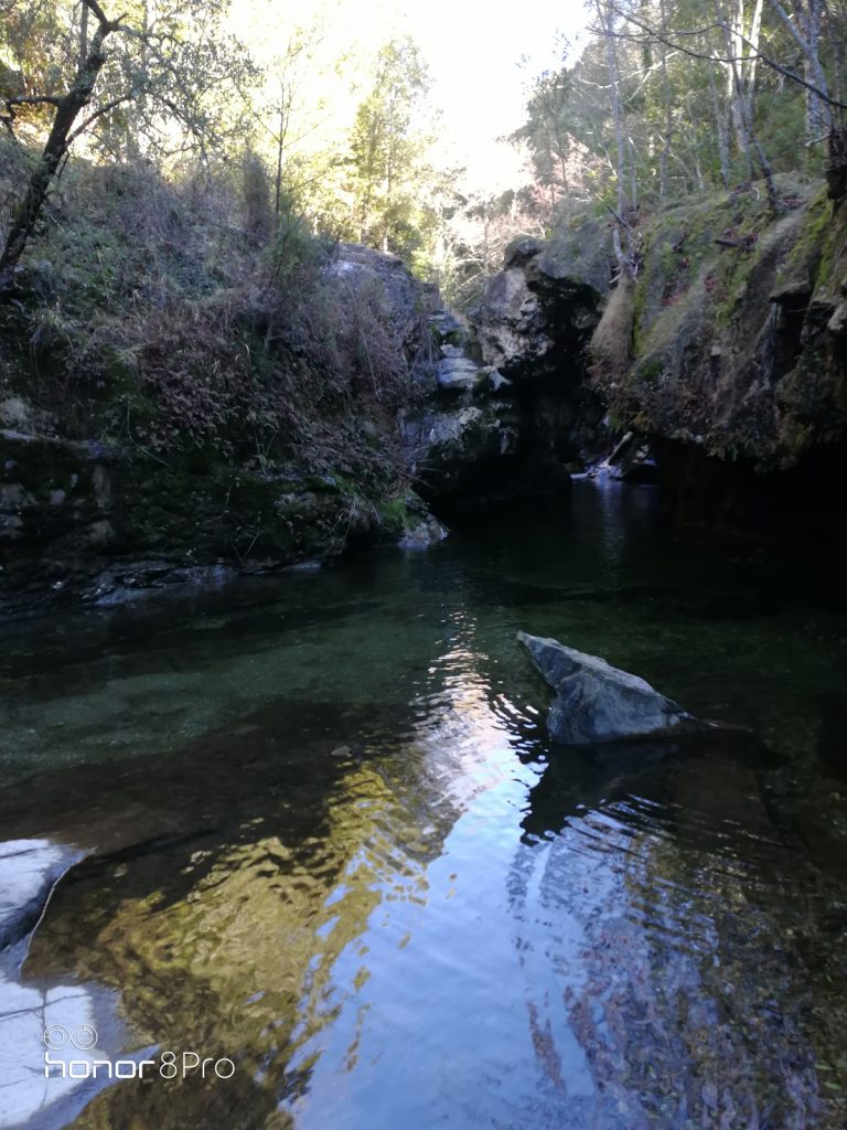 Le foto dei lettori. Il bosco incantato di Niala a Ussassai negli ...