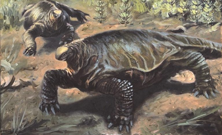 Lo sapevate? L’alierasauro, un gigantesco dinosauro vissuto in Sardegna ...