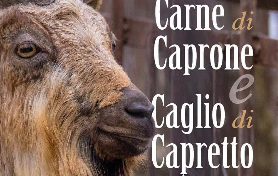 Urzulei, stasera la sagra della carne di capra | Ogliastra - Vistanet