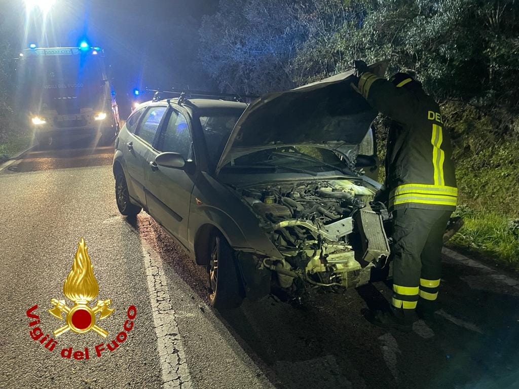 Auto si schianta contro un albero nella notte | Ogliastra - Vistanet Auto si schianta contro un albero nella notte | Ogliastra - Vistanet