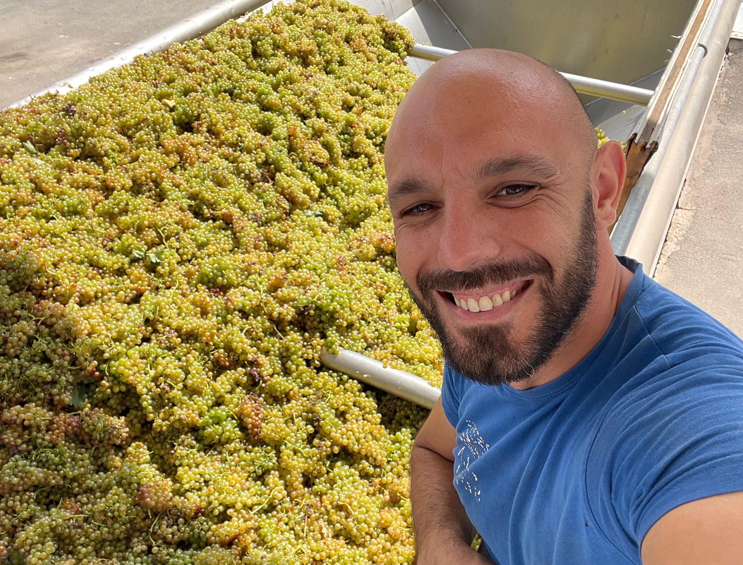 Alex Farmer, l’agri-influencer che racconta la Sardegna agropastorale ...