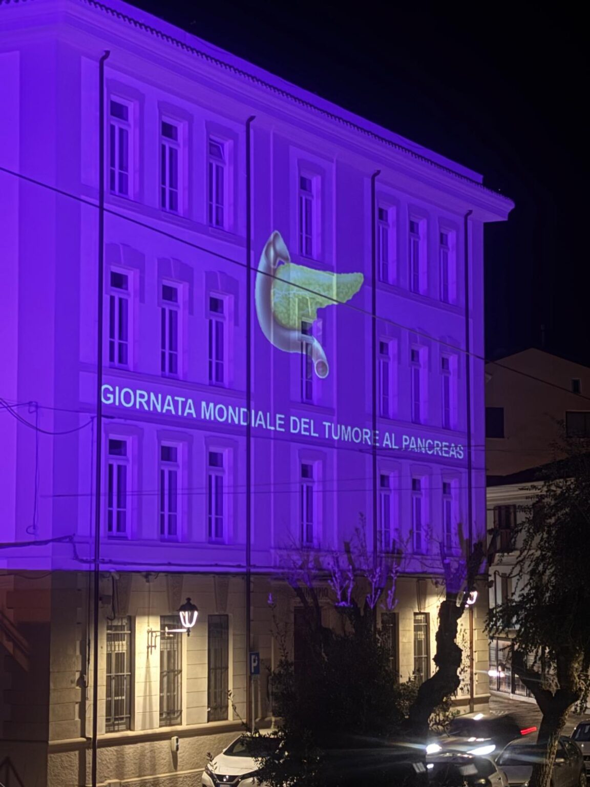 Lanusei: il Municipio si colora di viola per la Giornata Mondiale sul Tumore al Pancreas ...