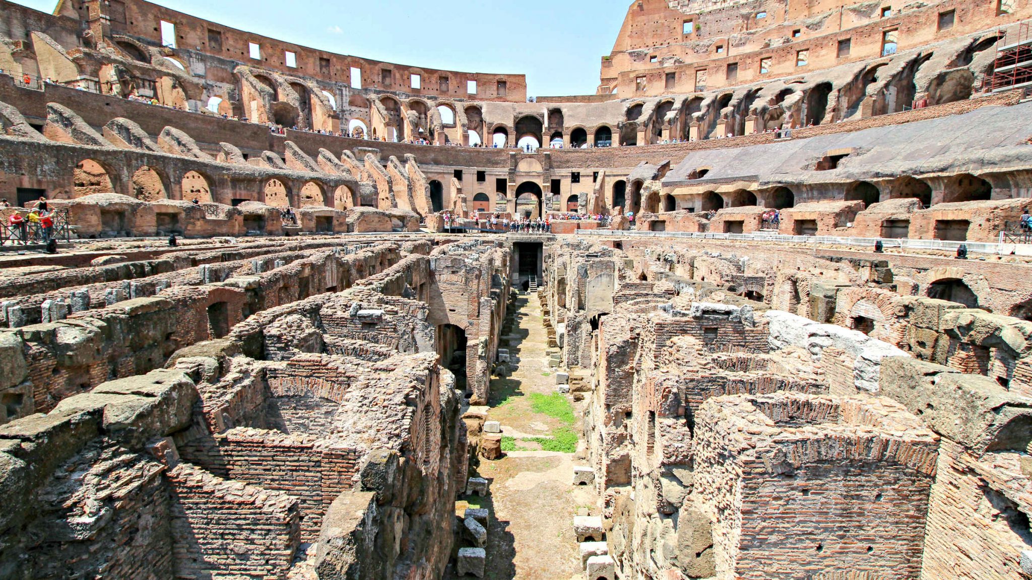 Le piante rare del Colosseo, come sono arrivate a Roma?