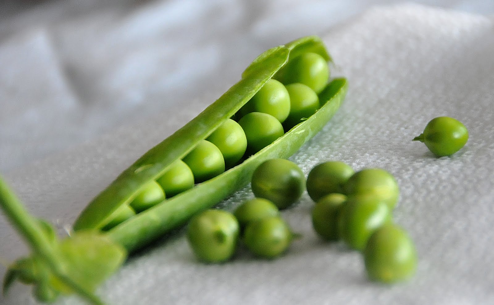 Perché il membro maschile in Italia è chiamato anche pisello? | Vistanet