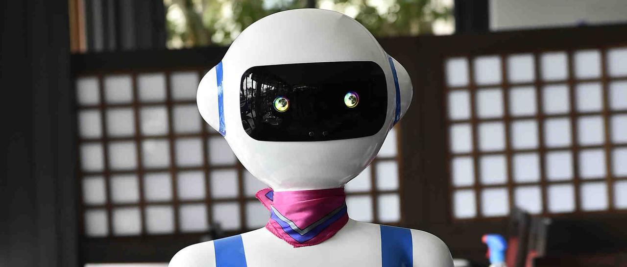 A Rapallo il primo locale d'Italia con i camerieri robot | Vistanet